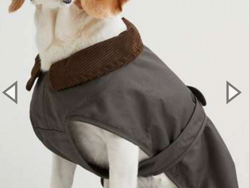 Пальто H&M для собак