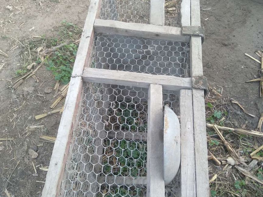 Клетка для кроликов с маточником