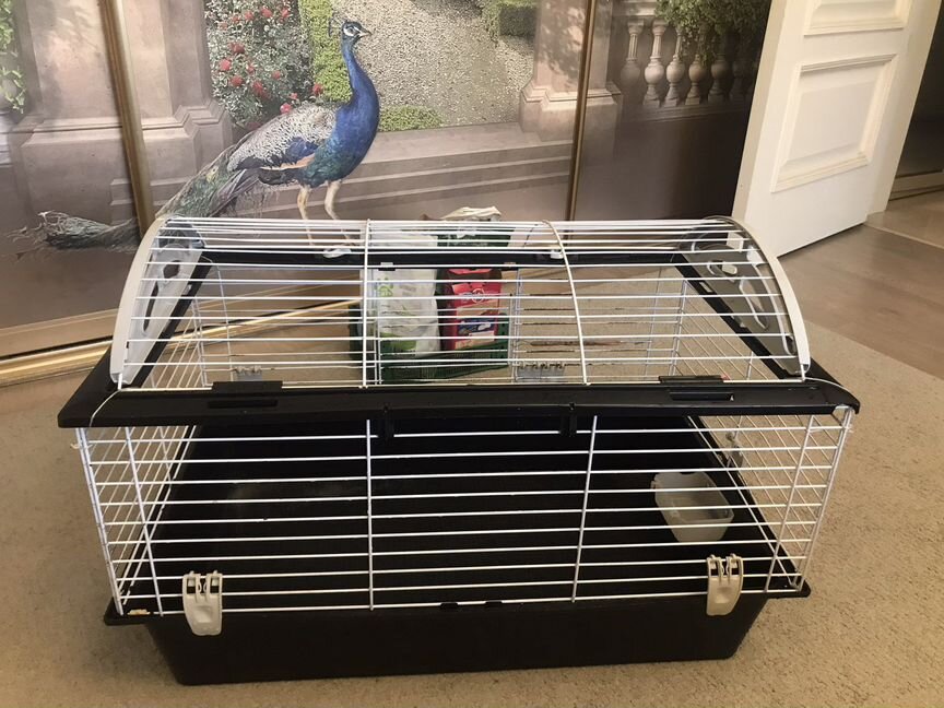 Клетка для грызунов большая