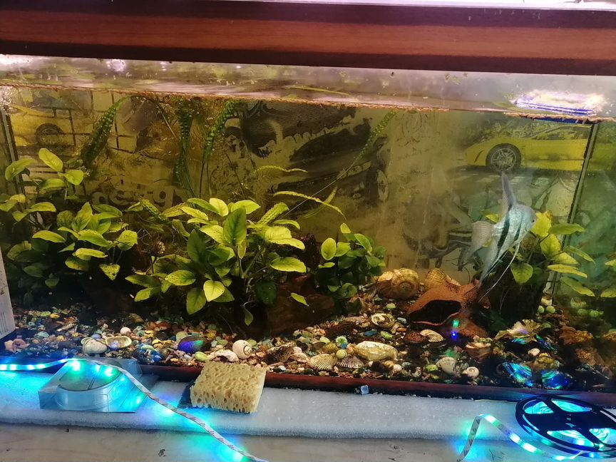 Аквариум 180л. с рыбками