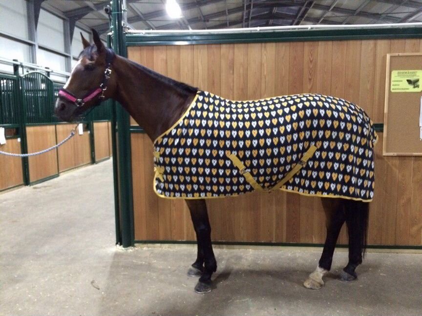 Финская флисовая попона для лошади