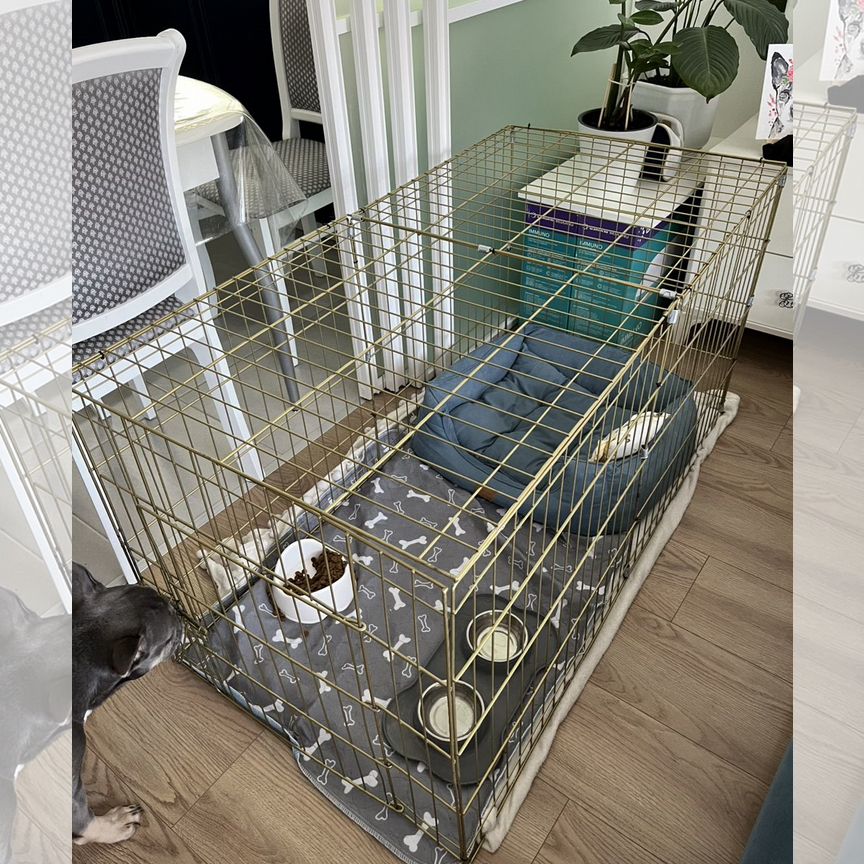 Вольер для питомцев