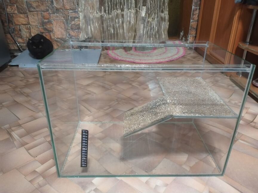 Черепашатник 52л