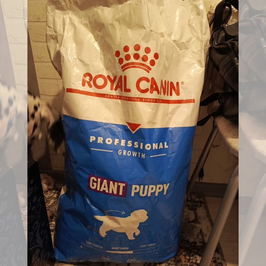 Корм для собак royal canin Giant pappy