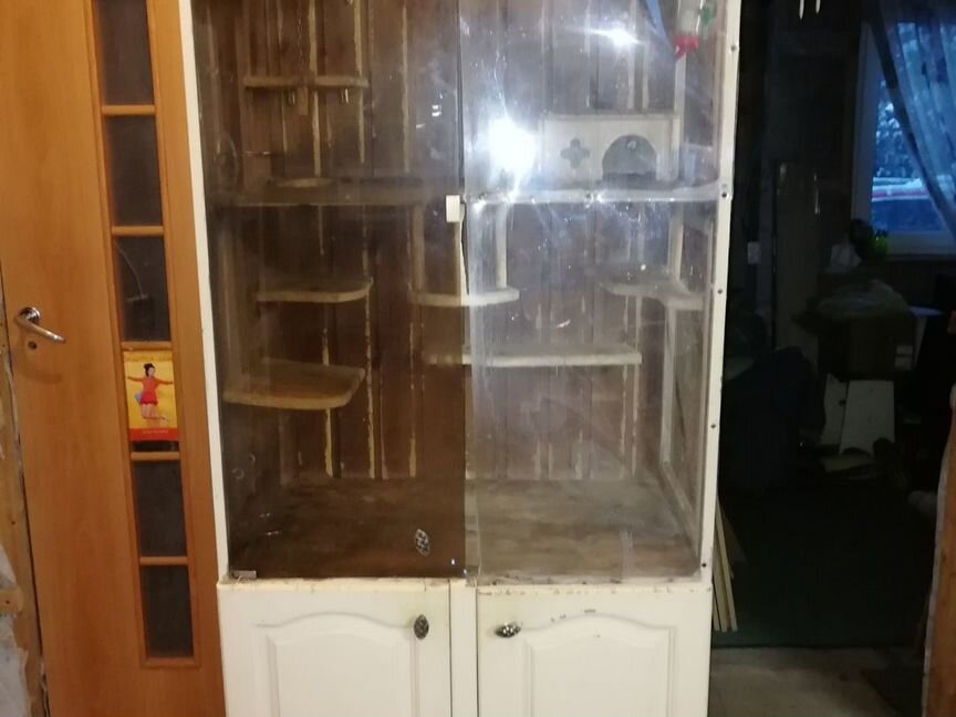 Витрина для шиншилл