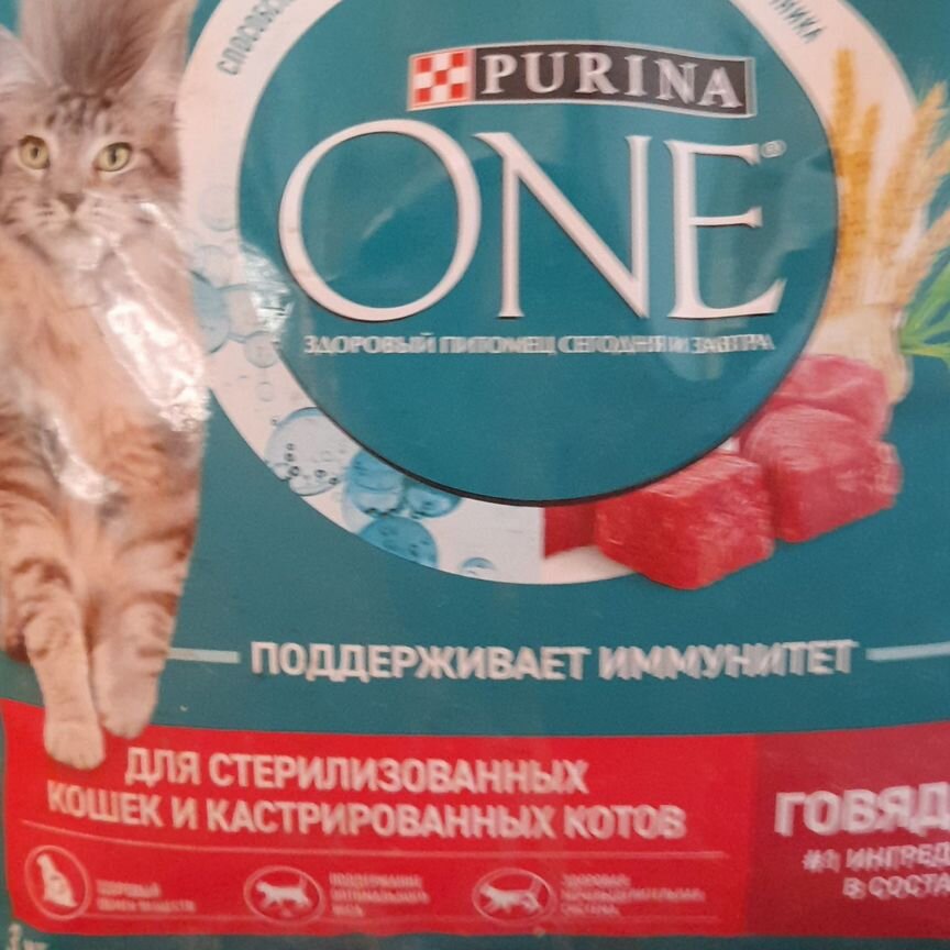 Сухой корм для кошек purina one