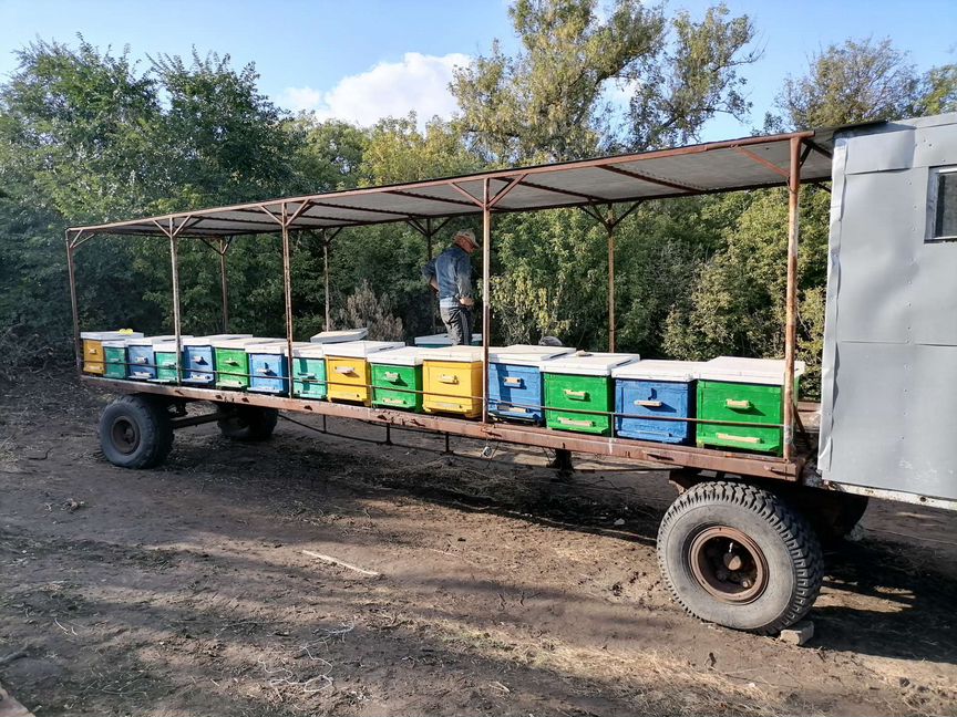 Прицеп для перевозки пчел