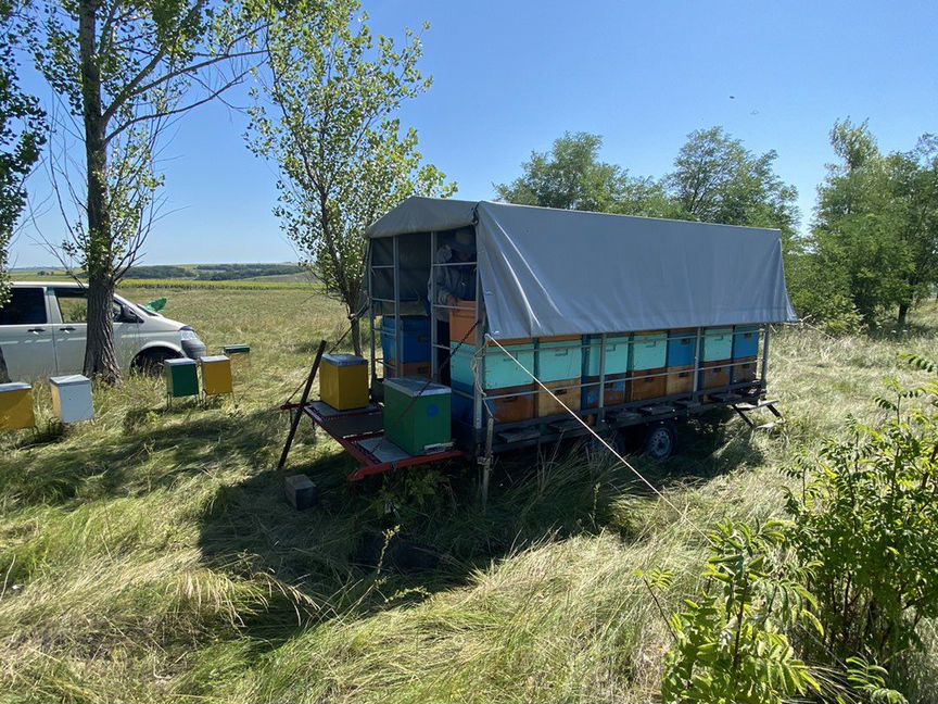 Продам ульи для пчел и прицеп