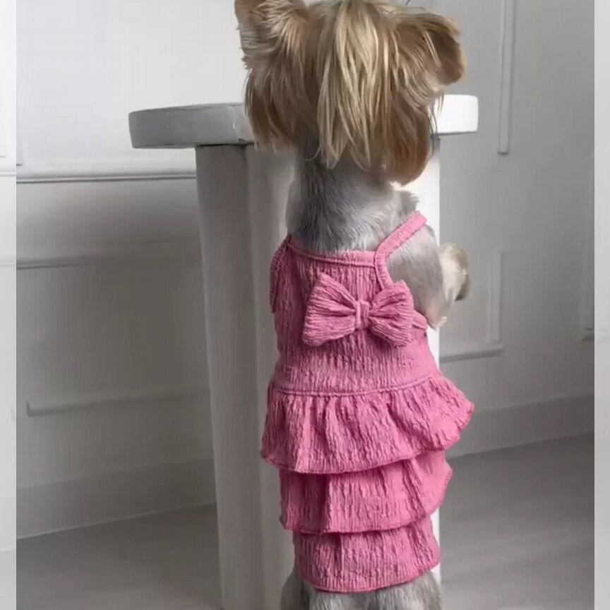 Платье для собак мелких пород