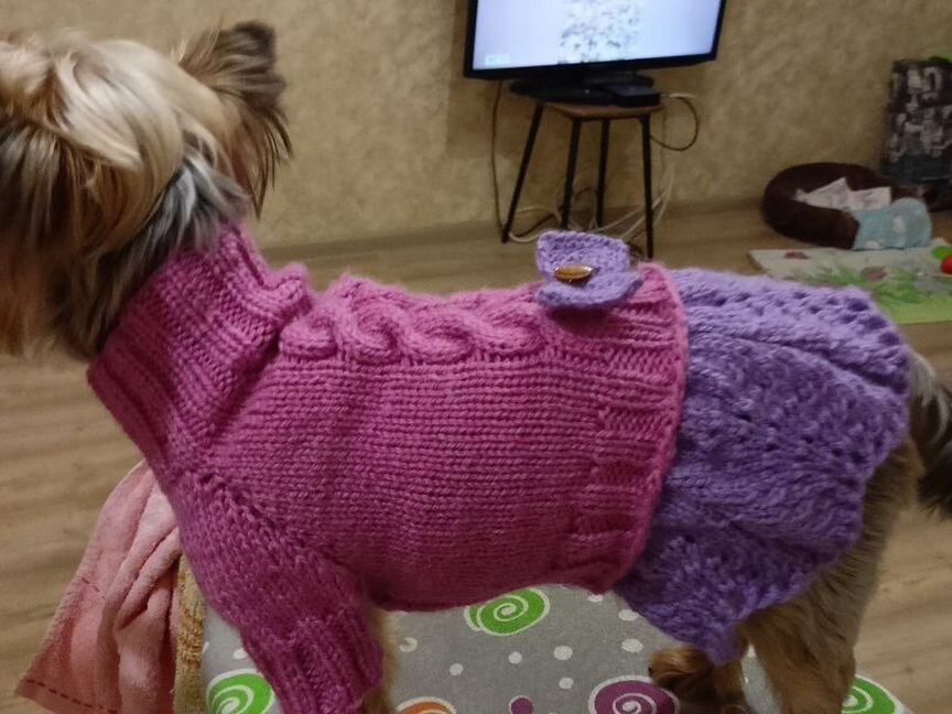 Одежда для собак мелких пород