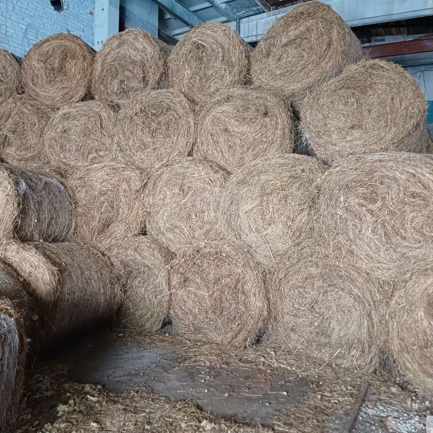 Продам сено в рулонах