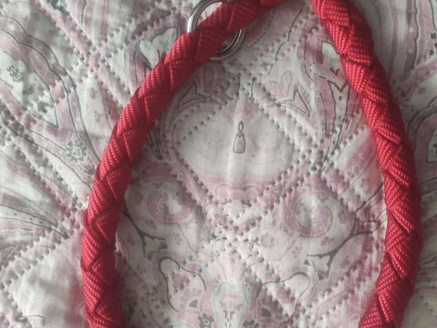 Ошейник-ринговка