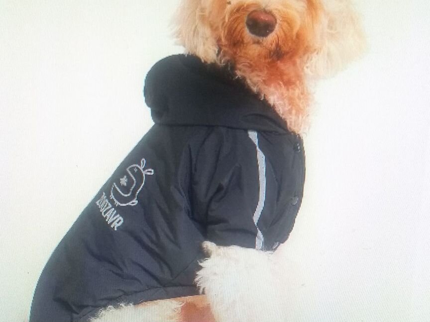 Утеплённая куртка для собак