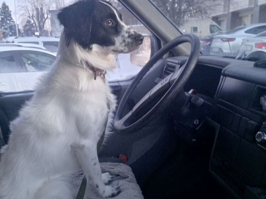 Мальчику нужна девочка