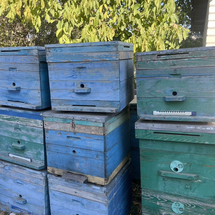 Двухкорпусные улики