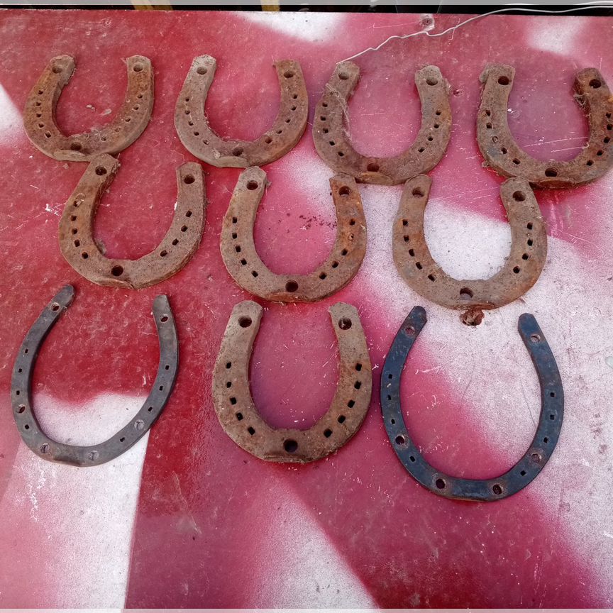 Подковы конские