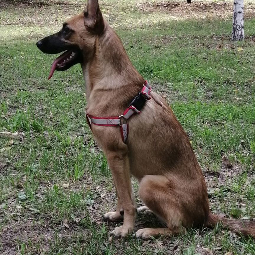 Девочка 10 месяцев небольшая