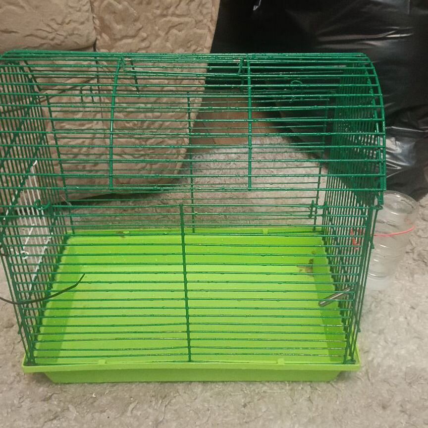 Клетка с пиолкой