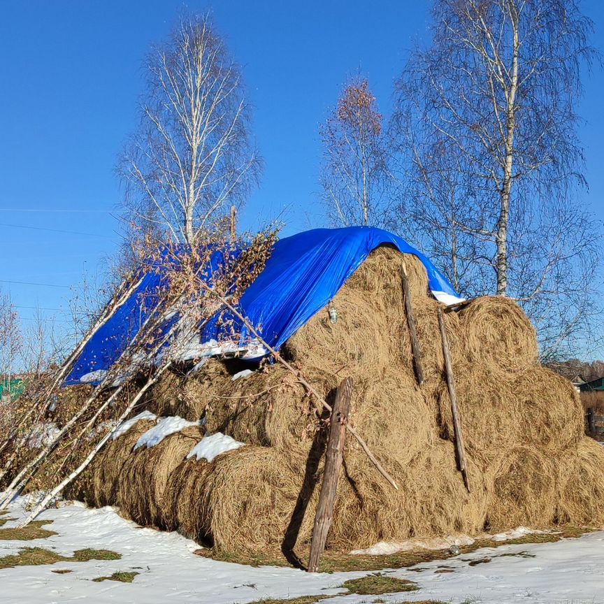 Сено в рулонах 350кг/Стог