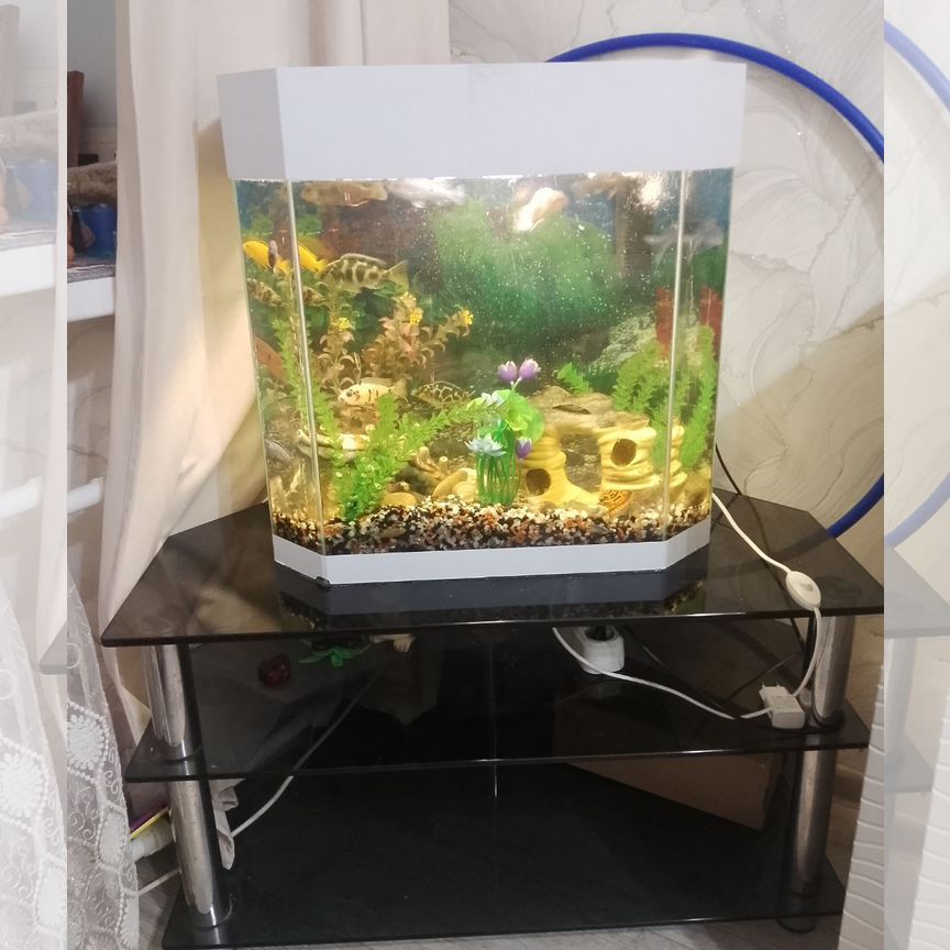 Аквариум с тумбой 75 литров