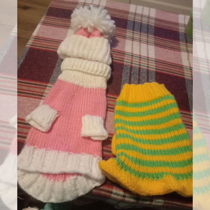 Свитшот для маленьких собачек