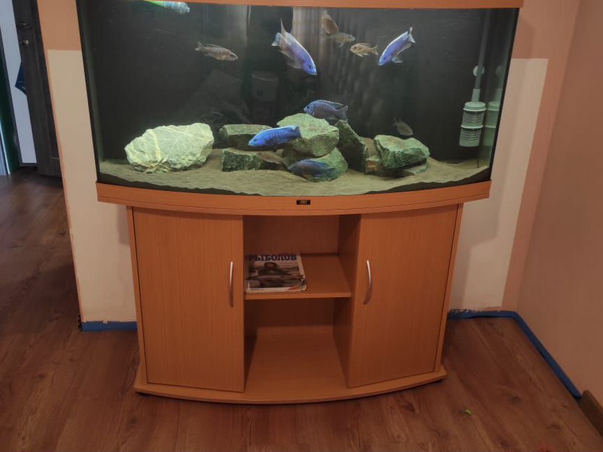 Аквариум Juwel Vision 260