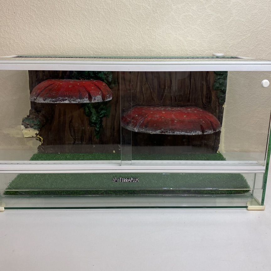 Террариум для рептилий