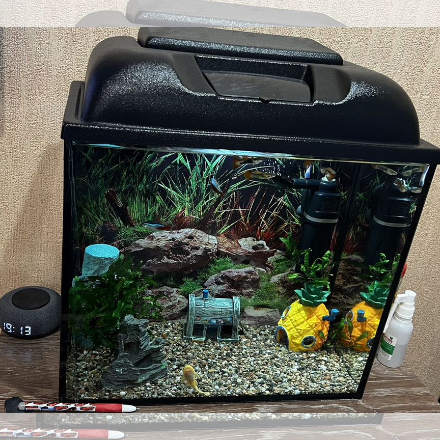 Аквариум с рыбами