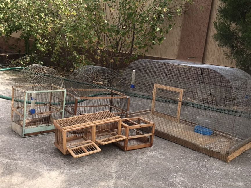 Клетки для птиц