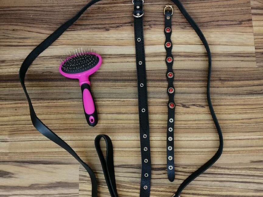 Поводок и ошейник