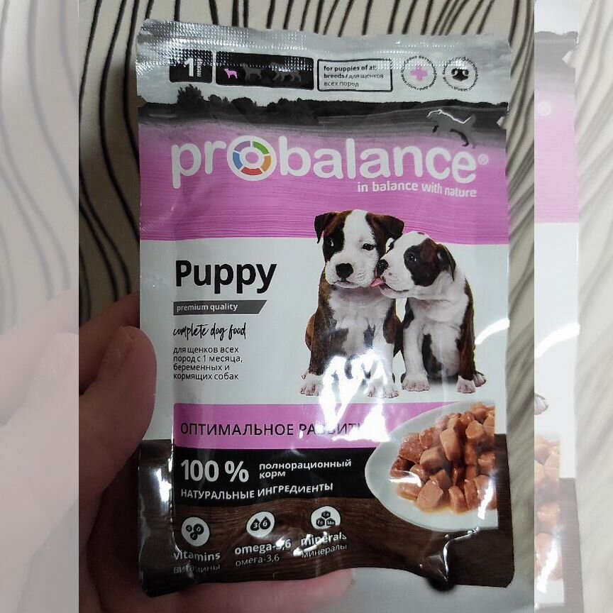 Корм для собак