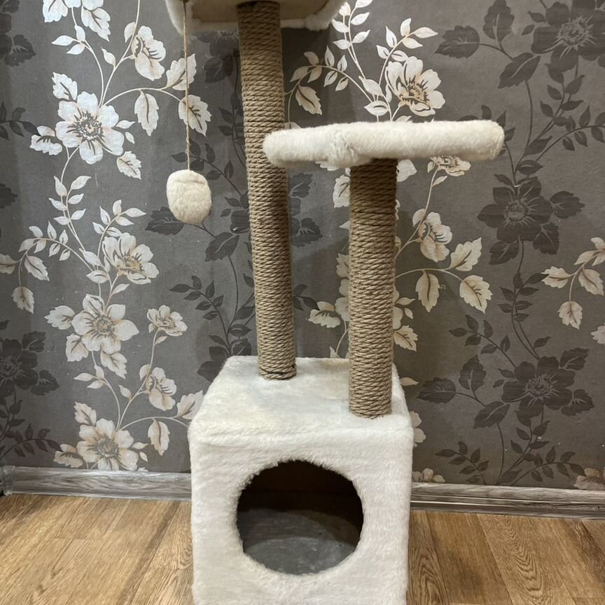 Когтеточка