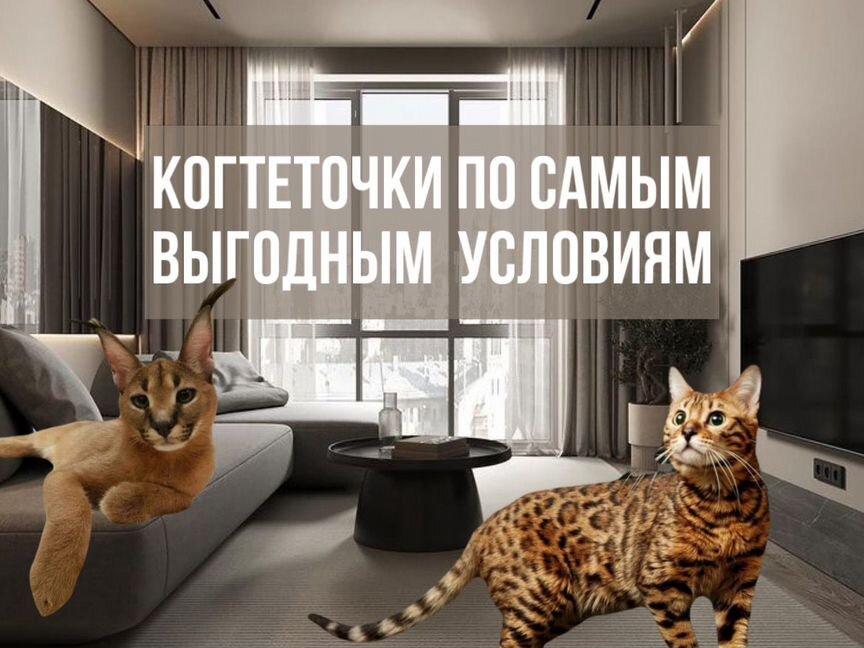 Когтеточка для кошек