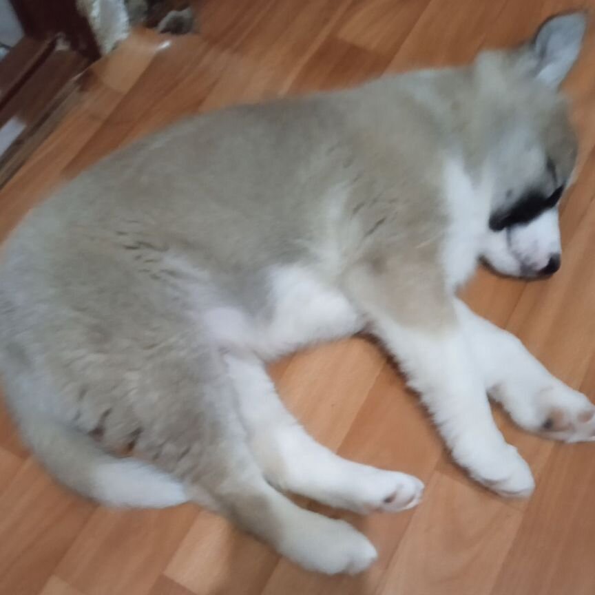 Все для дома и дачи