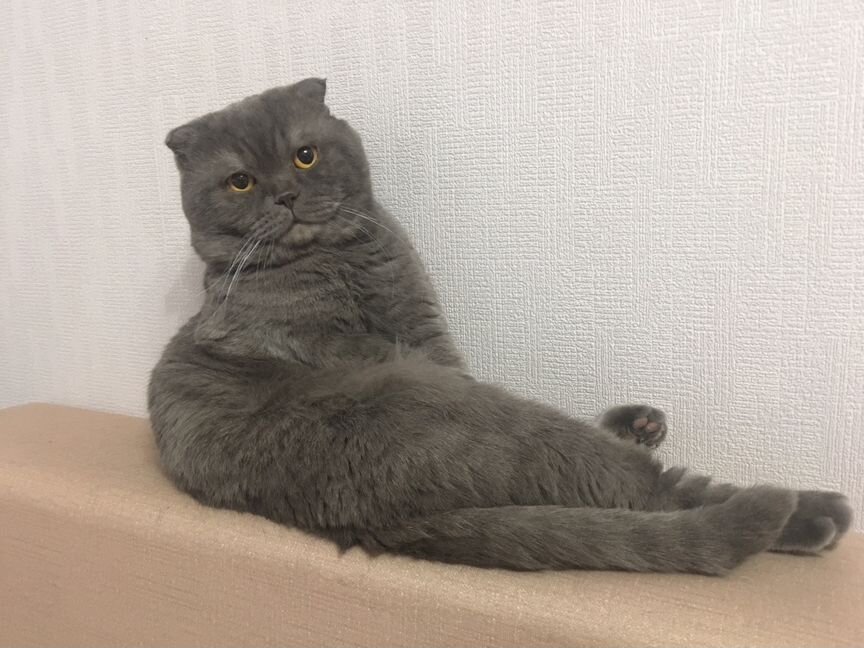 Вязка
