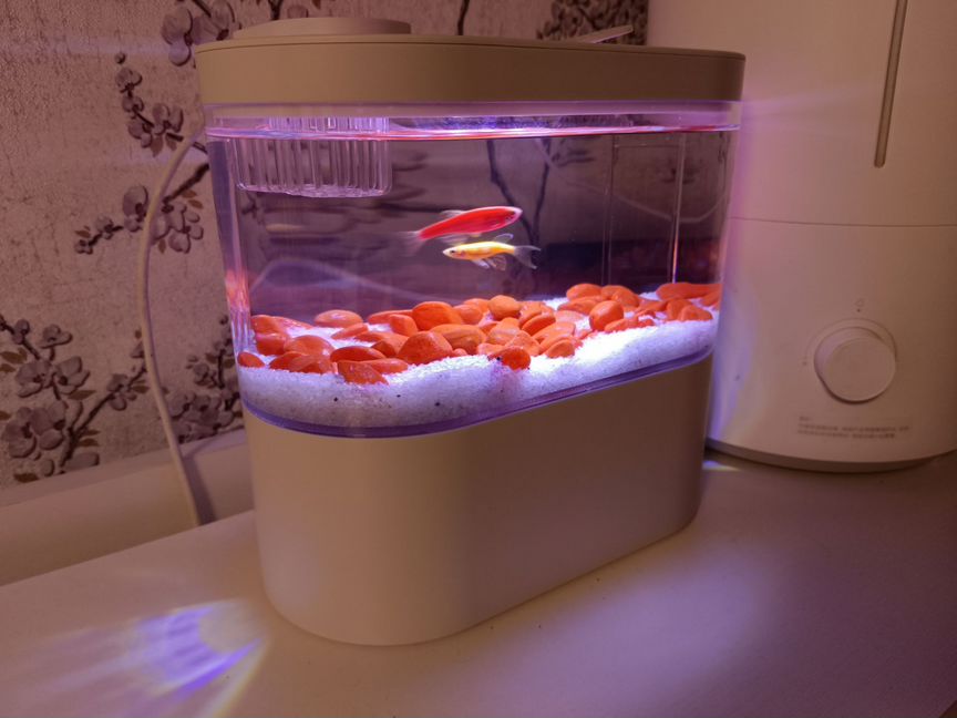 Настольный аквариум