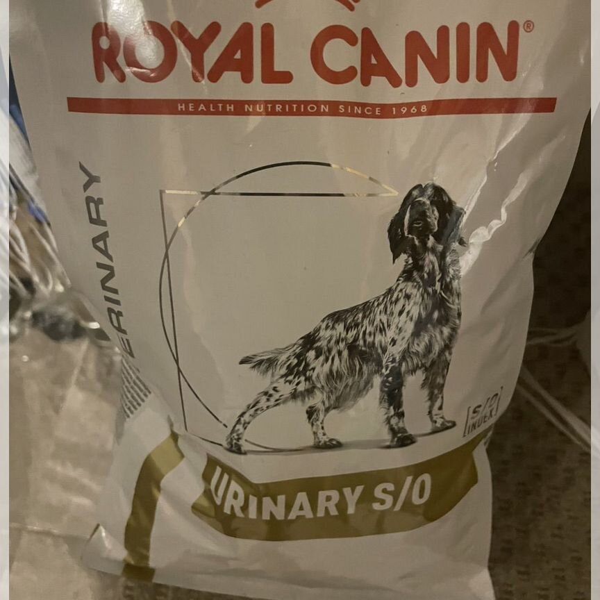 Сухой корм для собак