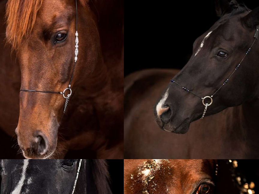 Выводной недоуздок