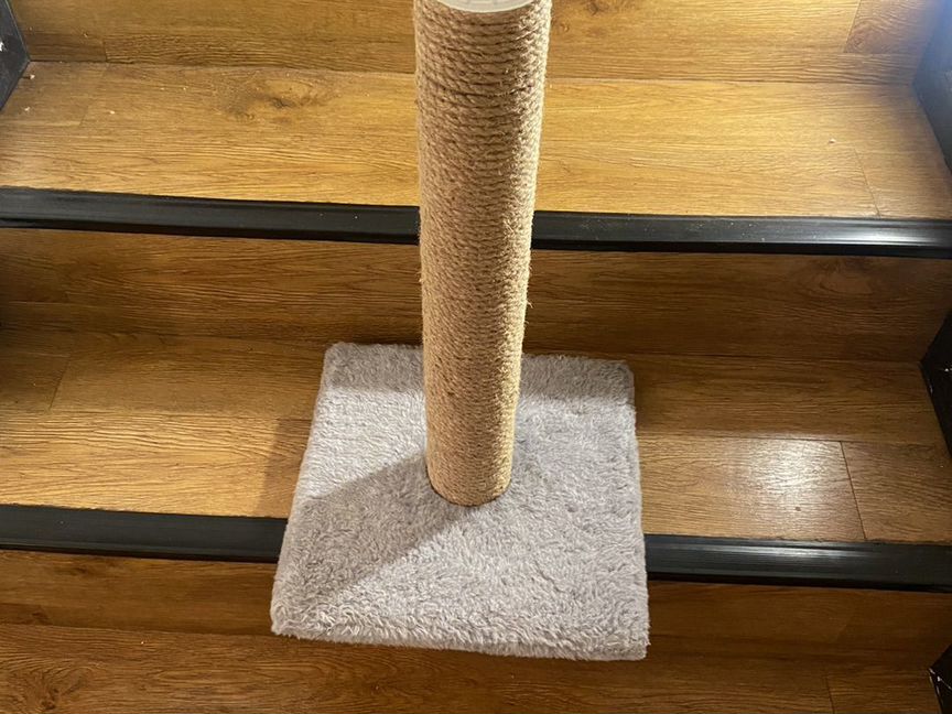 Когтеточка