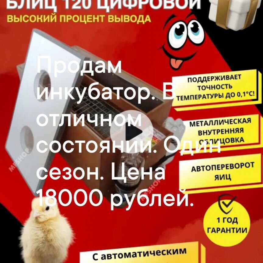 Инкубаторы