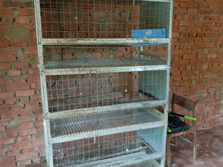 Клетка для кур