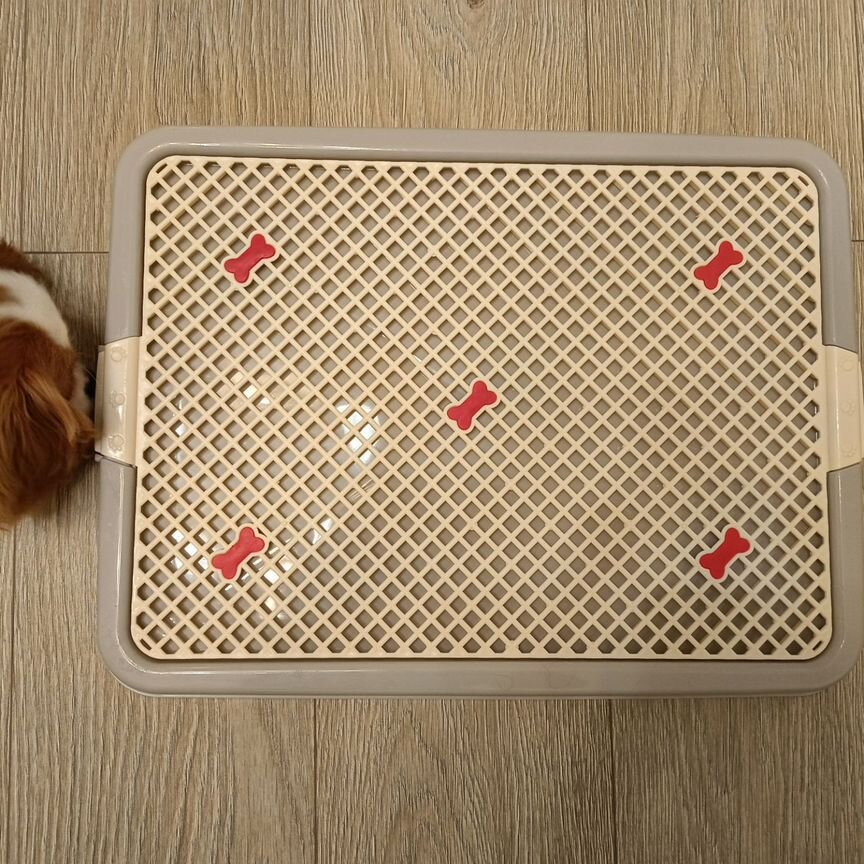 Туалет лоток для собак Stefan новый