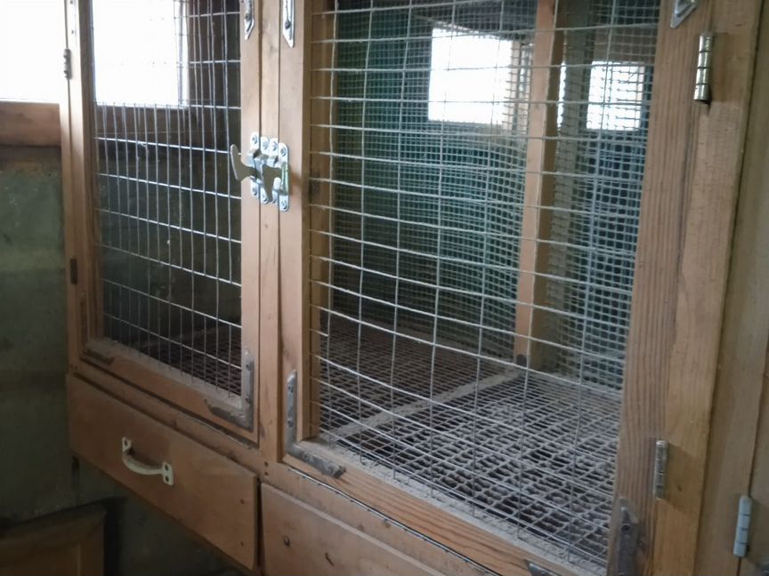 Клетка для кур и другой с/х птицы