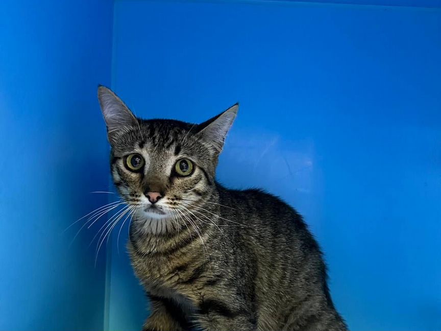 Я уже упустил один шанс. Неужели снова