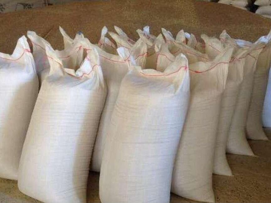 Пшеница на корм