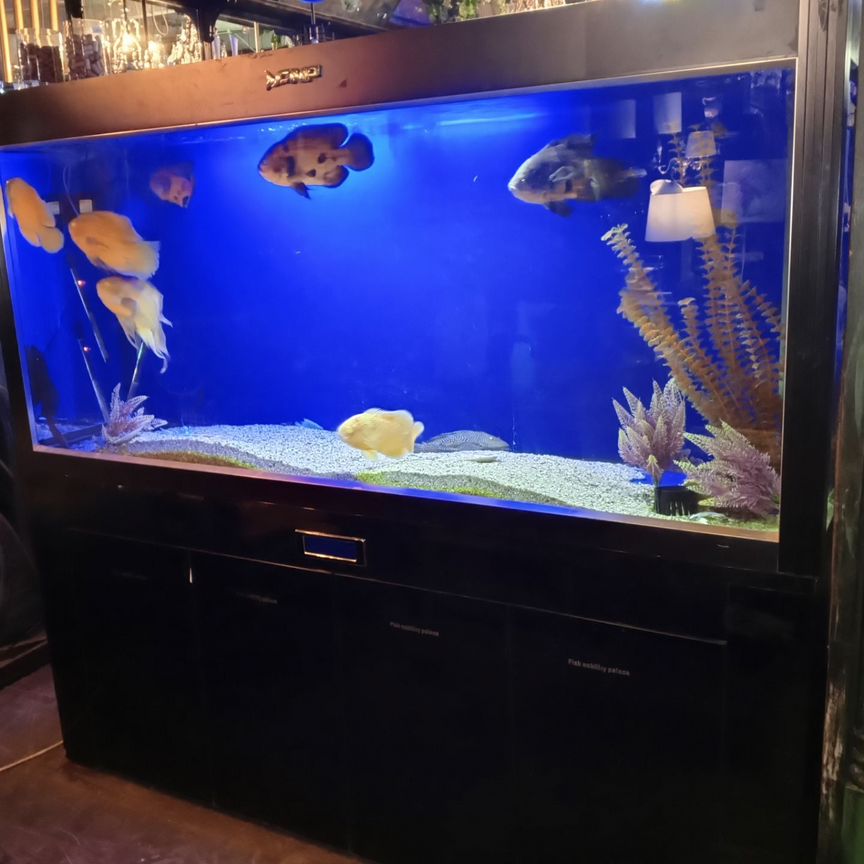 Аквариум с тумбой