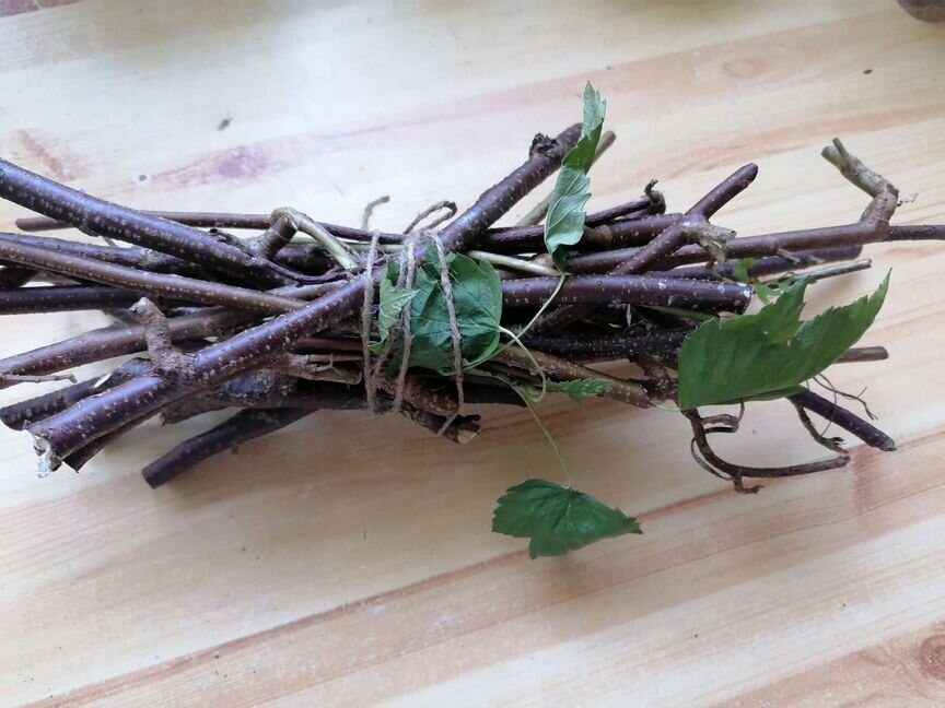 Смородина веточка для грызунов, птиц, хендмейка