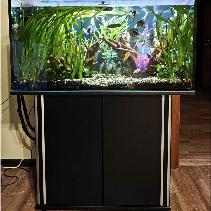 Аквариум с тумбой