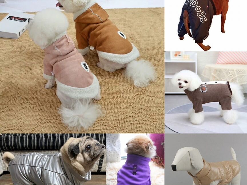 Одежда на собак