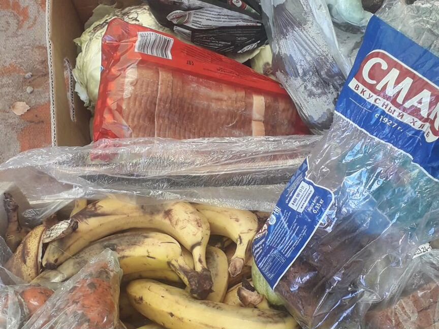 Корм для домашних животных